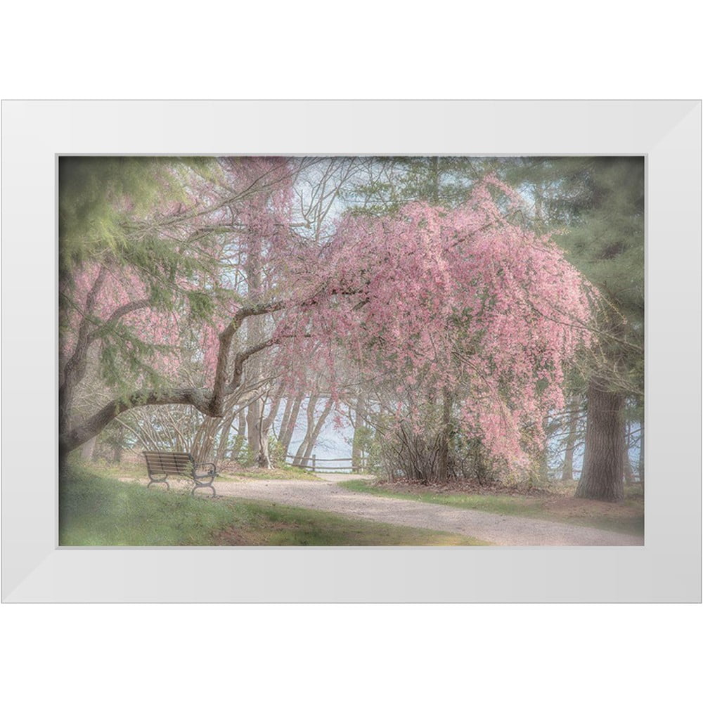 DeLuca, Pat 18x13 White Modern Wood Framed Museum Art Print Titled ...