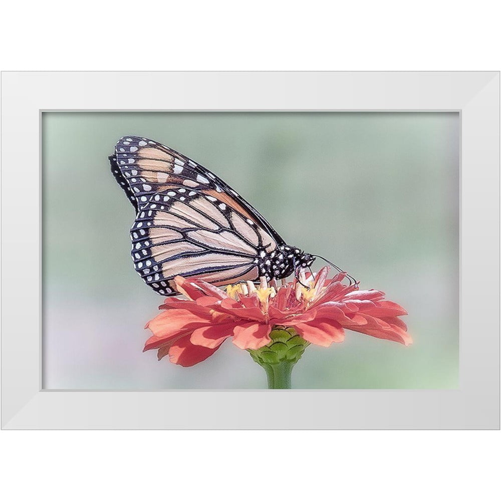 DeLuca, Pat 18x13 White Modern Wood Framed Museum Art Print Titled ...