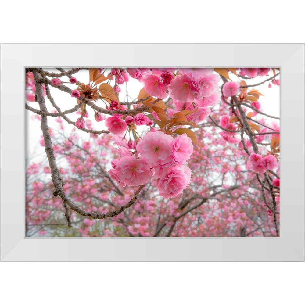 DeLuca, Pat 18x13 White Modern Wood Framed Museum Art Print Titled ...
