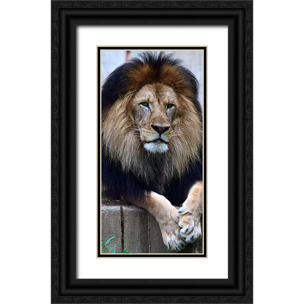 DeLuca, Pat 18x32 Black Ornate Wood Framed with Double Matting Museum ...