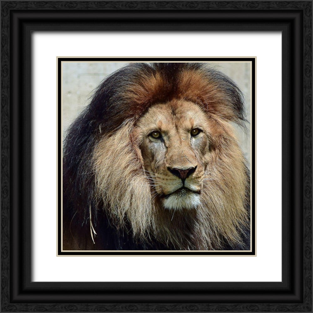 DeLuca, Pat 20x20 Black Ornate Wood Framed with Double Matting Museum ...