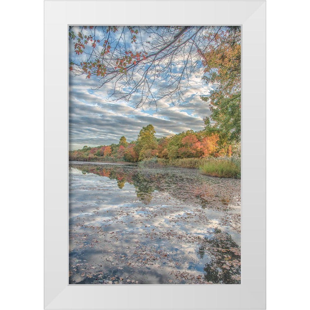 DeLuca, Pat 23x32 White Modern Wood Framed Museum Art Print Titled ...