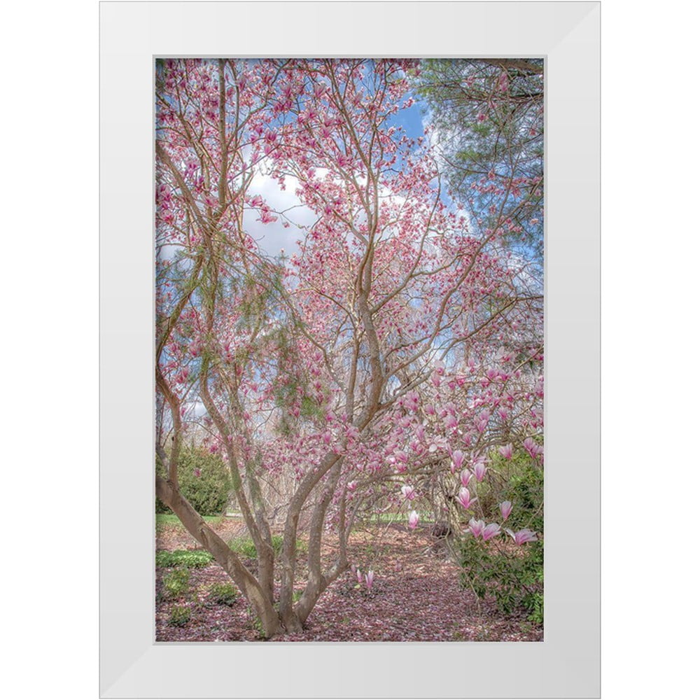 DeLuca, Pat 23x32 White Modern Wood Framed Museum Art Print Titled ...