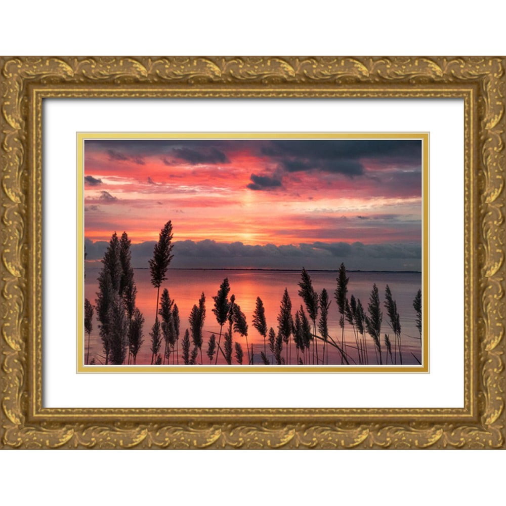 DeLuca, Pat 24x17 Gold Ornate Wood Framed with Double Matting Museum ...