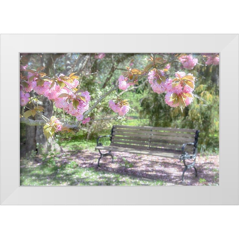 DeLuca, Pat 24x17 White Modern Wood Framed Museum Art Print Titled ...