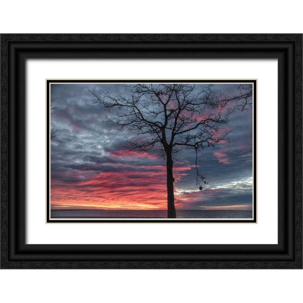 DeLuca, Pat 32x23 Black Ornate Wood Framed with Double Matting Museum ...