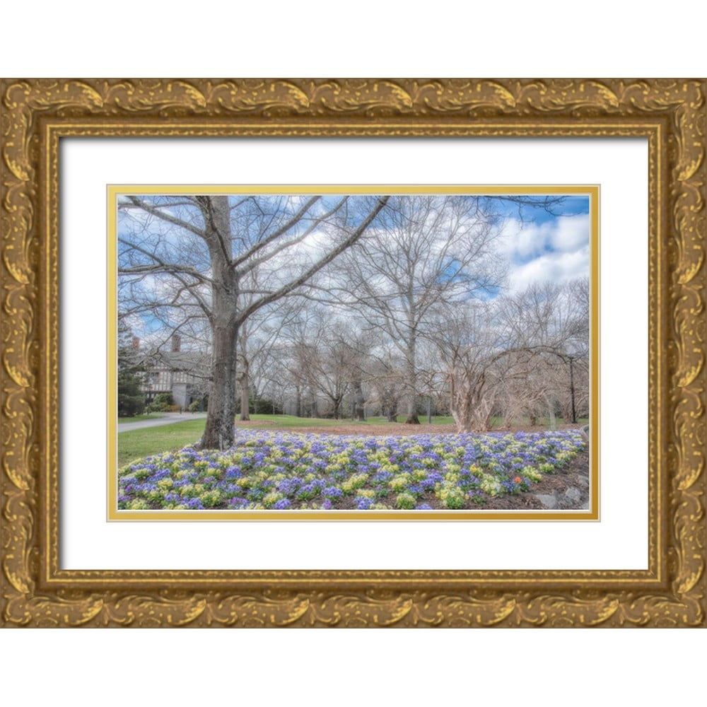 DeLuca, Pat 32x23 Gold Ornate Wood Framed with Double Matting Museum ...