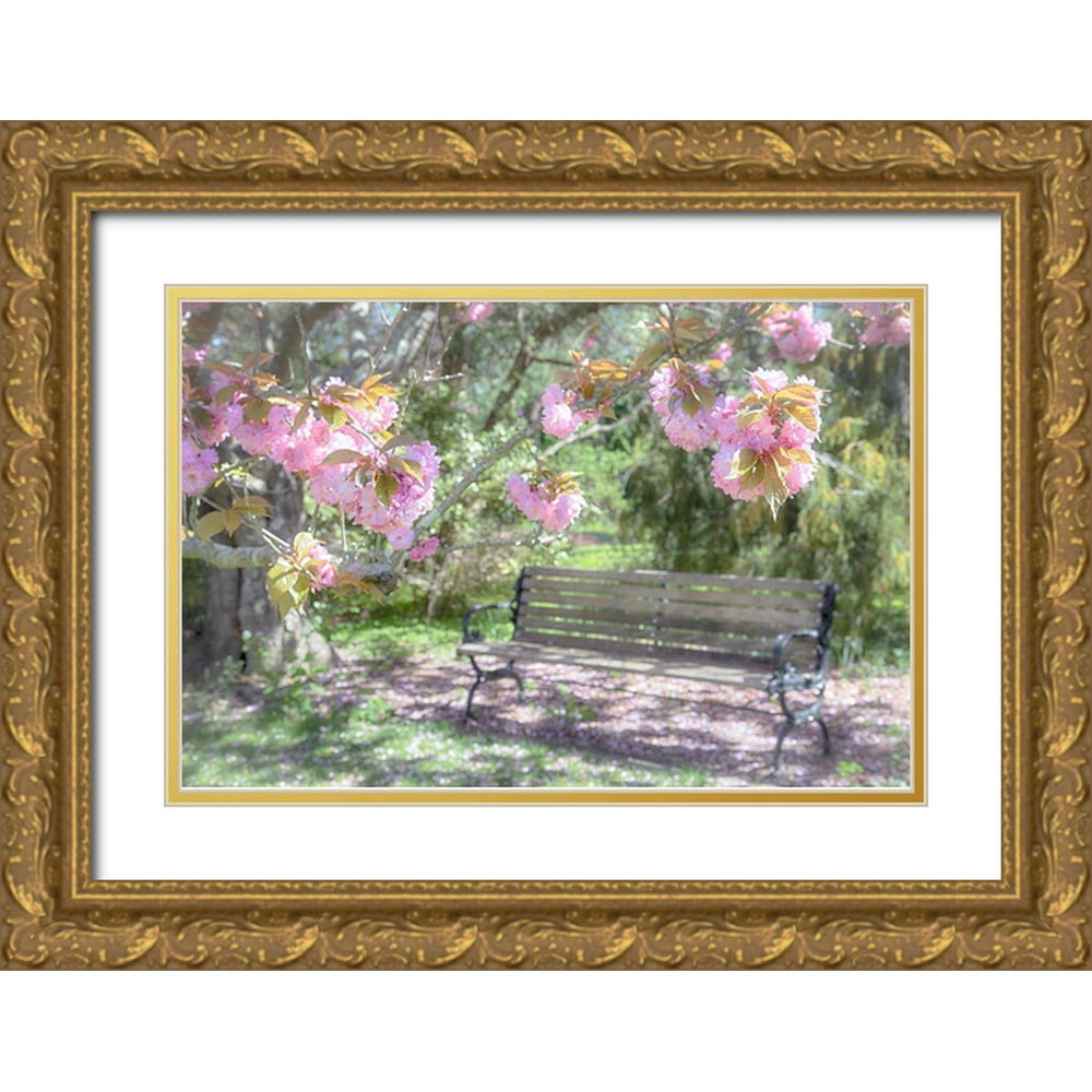 DeLuca, Pat 32x23 Gold Ornate Wood Framed with Double Matting Museum ...