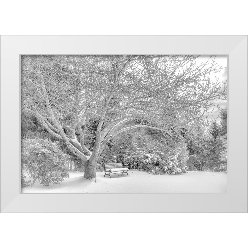 DeLuca, Pat 32x23 White Modern Wood Framed Museum Art Print Titled ...