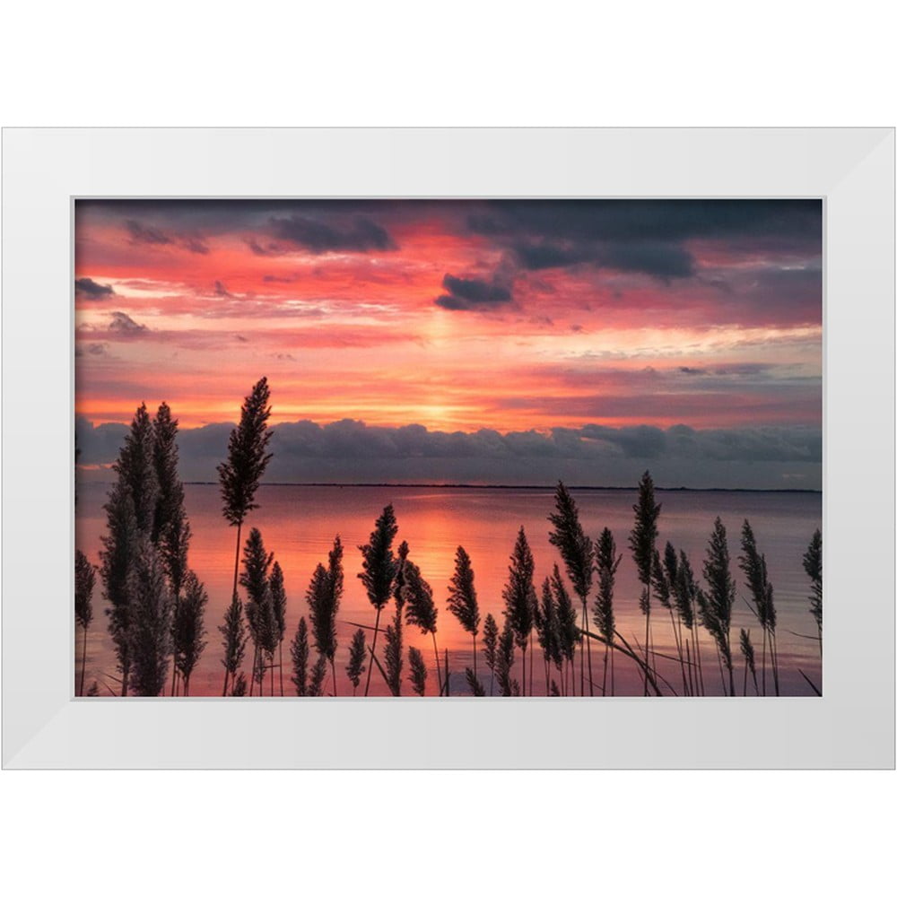 DeLuca, Pat 32x23 White Modern Wood Framed Museum Art Print Titled ...