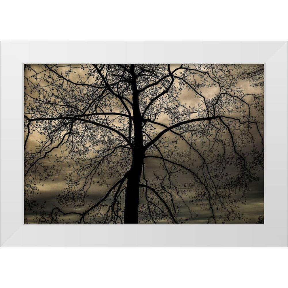 DeLuca, Pat 32x23 White Modern Wood Framed Museum Art Print Titled ...