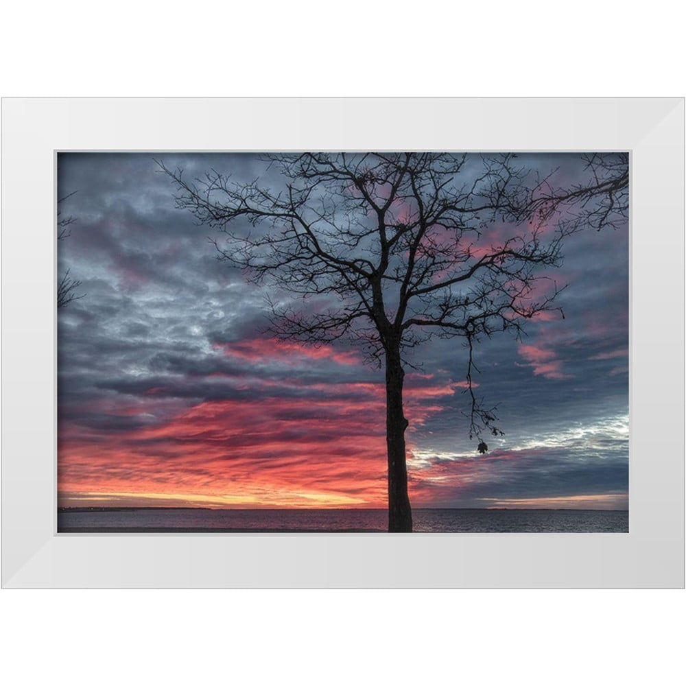 DeLuca, Pat 32x23 White Modern Wood Framed Museum Art Print Titled ...