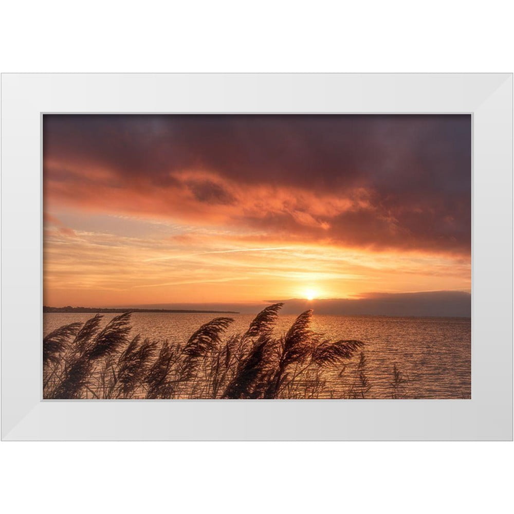 DeLuca, Pat 32x23 White Modern Wood Framed Museum Art Print Titled ...