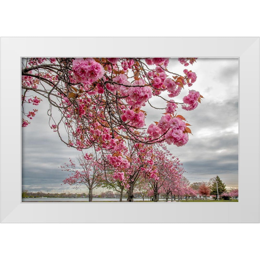 DeLuca, Pat 32x23 White Modern Wood Framed Museum Art Print Titled ...
