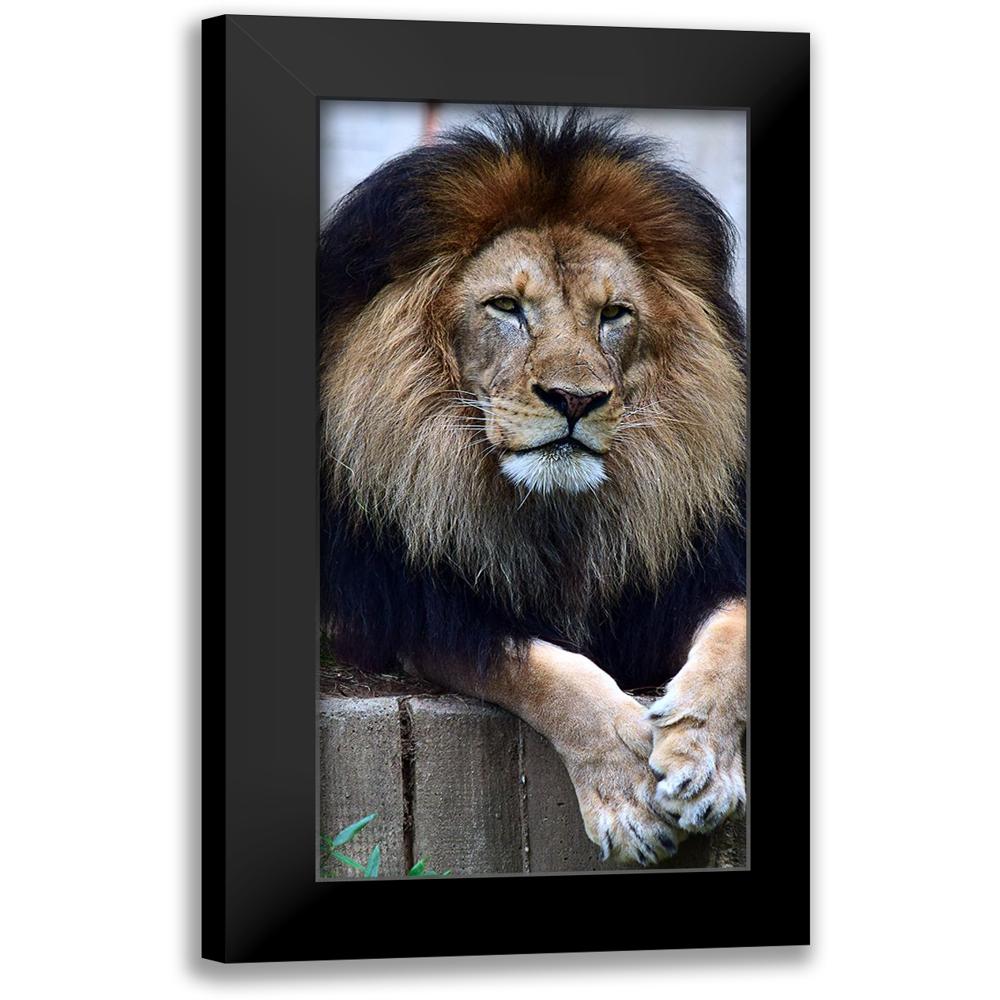 DeLuca, Pat 9x14 Black Modern Framed Museum Art Print Titled - Strength ...