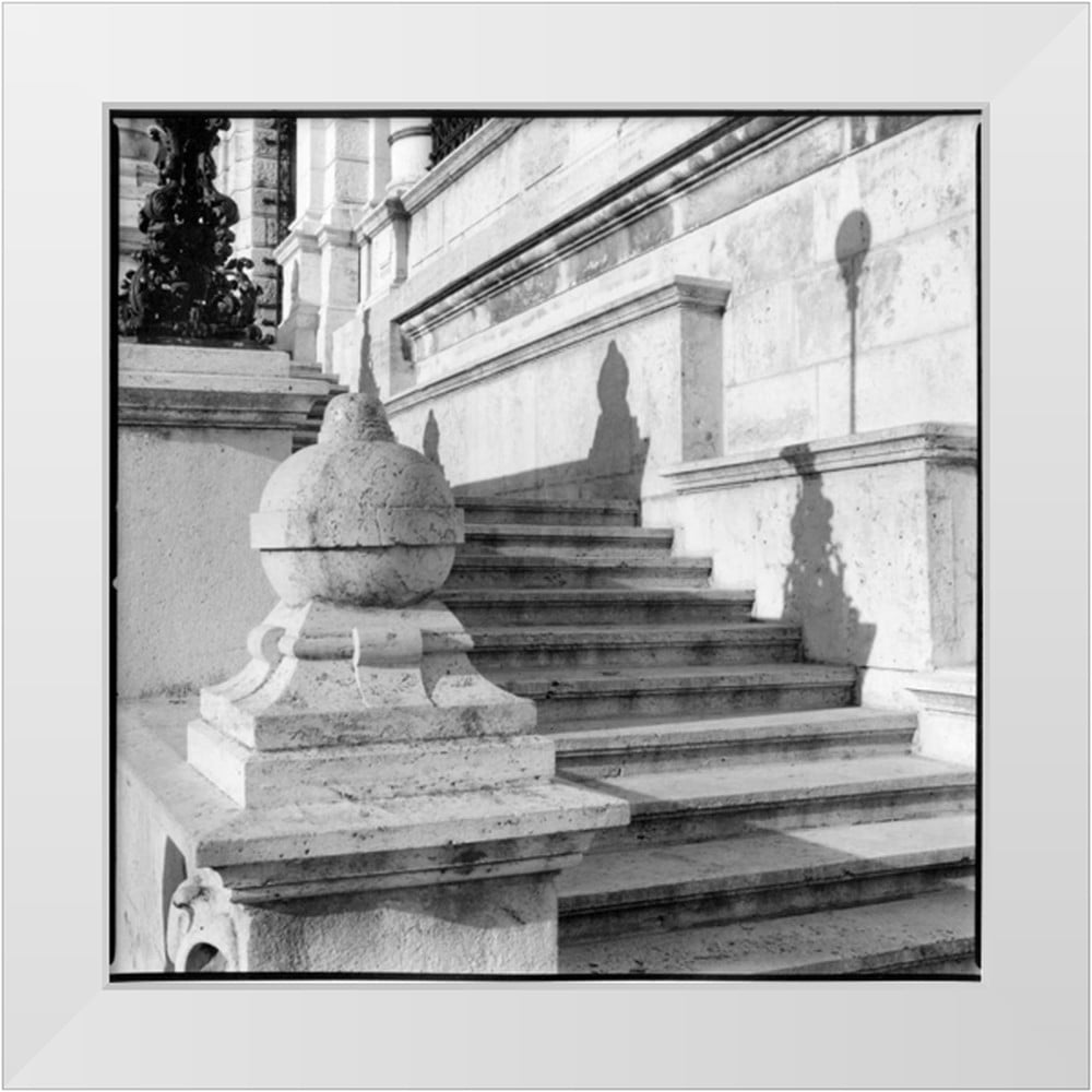 DeNardo, Laura 12x12 White Modern Wood Framed Museum Art Print Titled ...