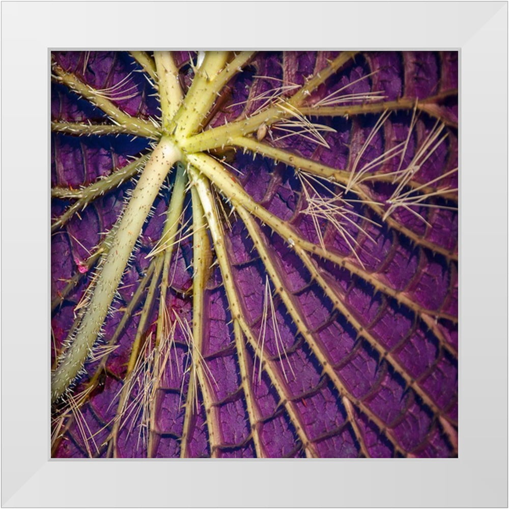 DeNardo, Laura 12x12 White Modern Wood Framed Museum Art Print Titled ...