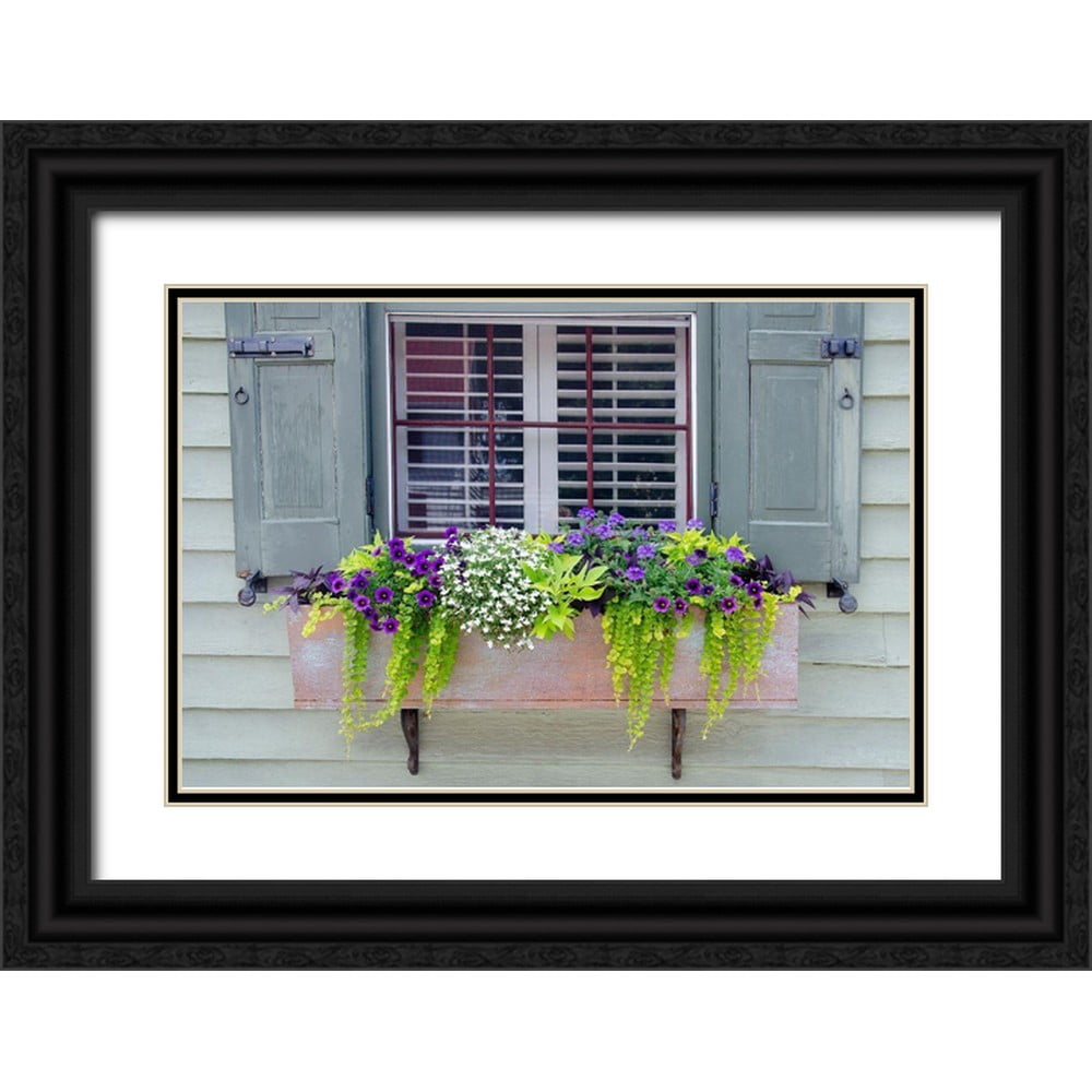 DeNardo, Laura 14x11 Black Ornate Wood Framed with Double Matting ...