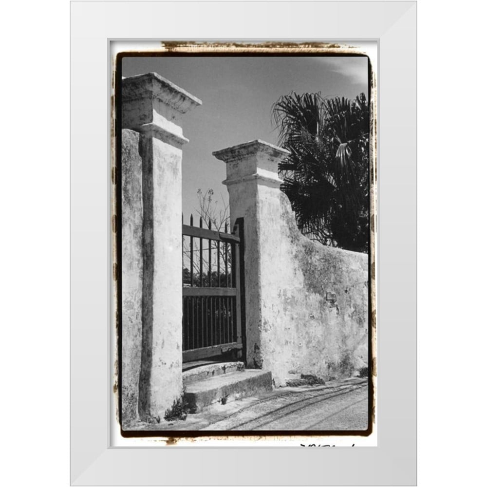 DeNardo, Laura 17x24 White Modern Wood Framed Museum Art Print Titled ...