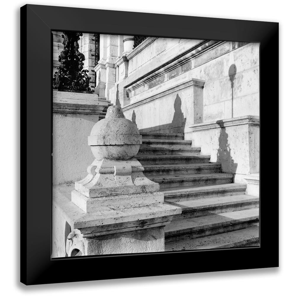 DeNardo, Laura 20x20 Black Modern Framed Museum Art Print Titled ...