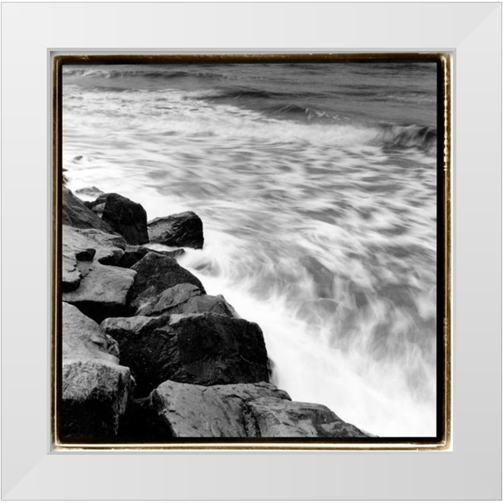 DeNardo, Laura 20x20 White Modern Wood Framed Museum Art Print Titled ...