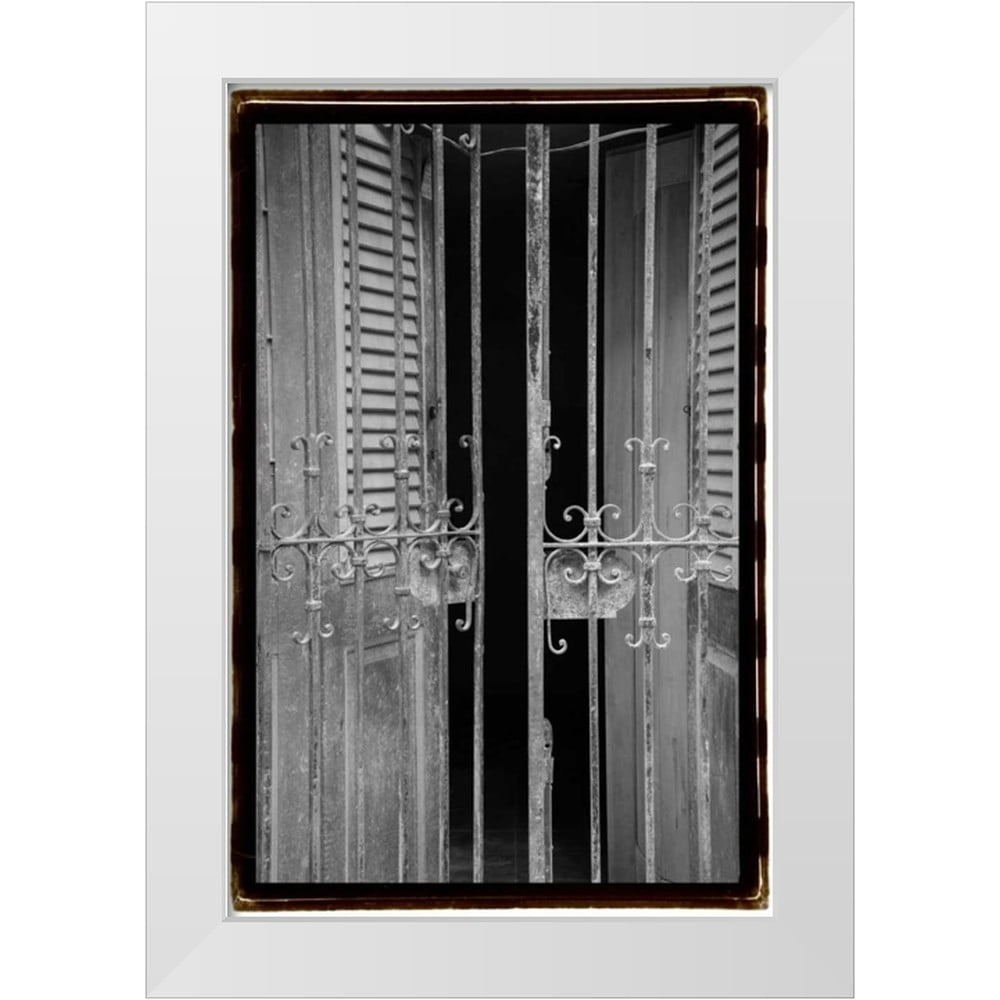 DeNardo, Laura 22x32 White Modern Wood Framed Museum Art Print Titled ...