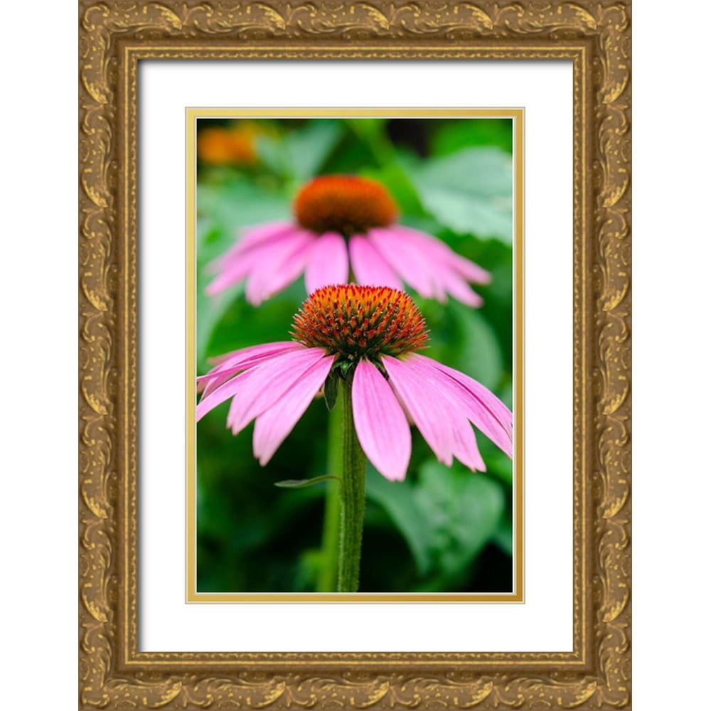 DeNardo, Laura 23x32 Gold Ornate Wood Framed with Double Matting Museum ...