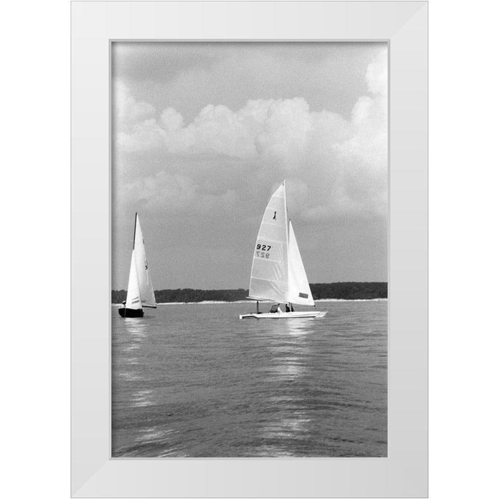DeNardo, Laura 23x32 White Modern Wood Framed Museum Art Print Titled ...