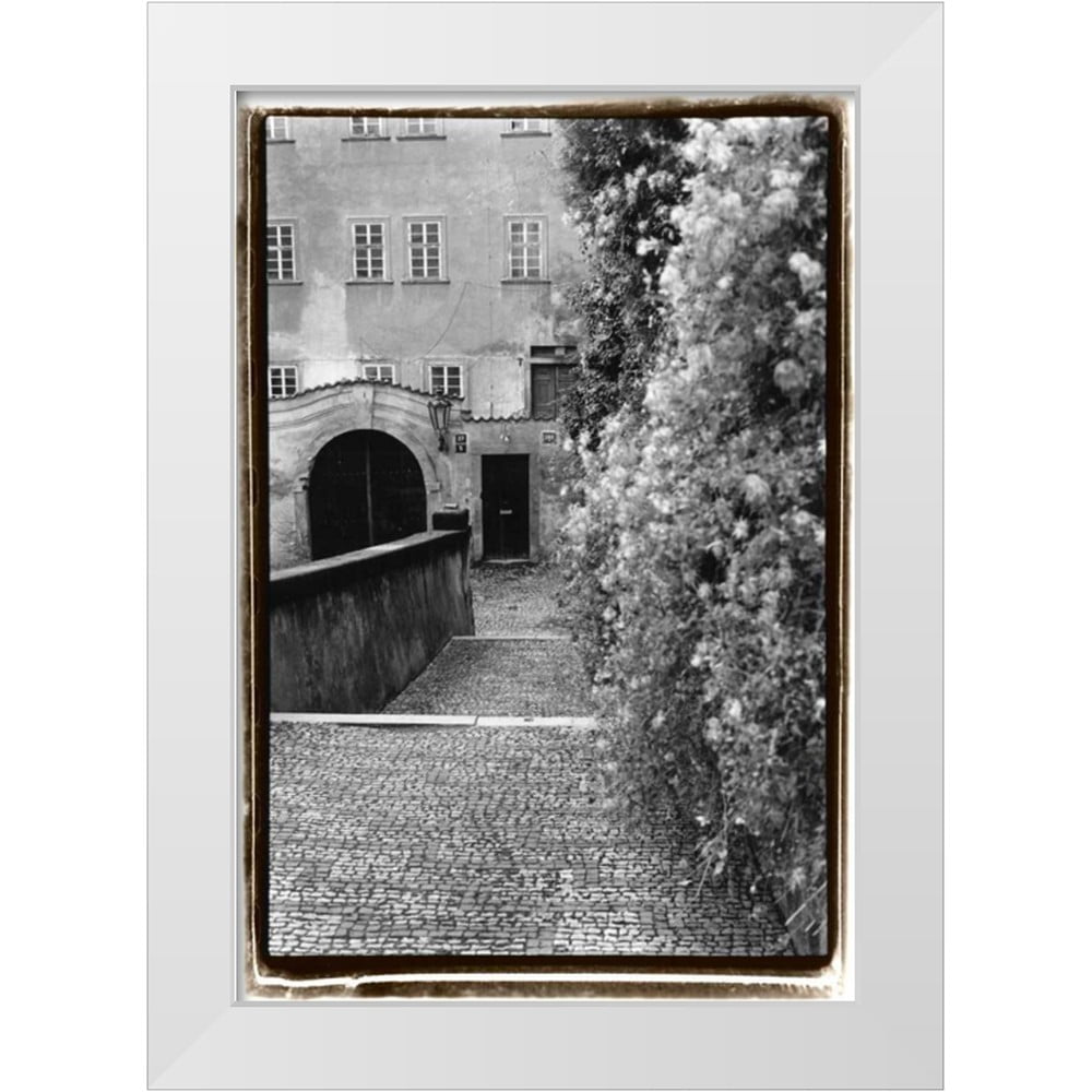 DeNardo, Laura 23x32 White Modern Wood Framed Museum Art Print Titled ...