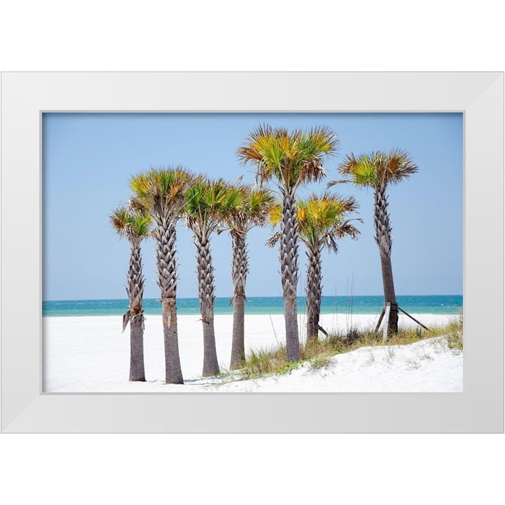 DeNardo, Laura 32x23 White Modern Wood Framed Museum Art Print Titled - Coastal Palms II ...