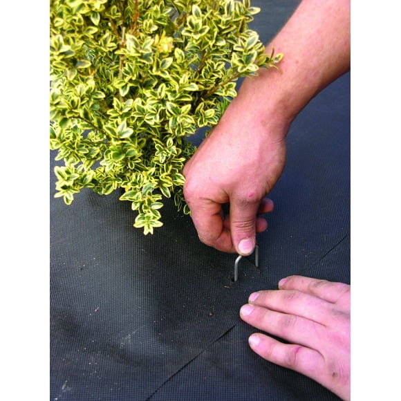 Landscape Fabric Pins