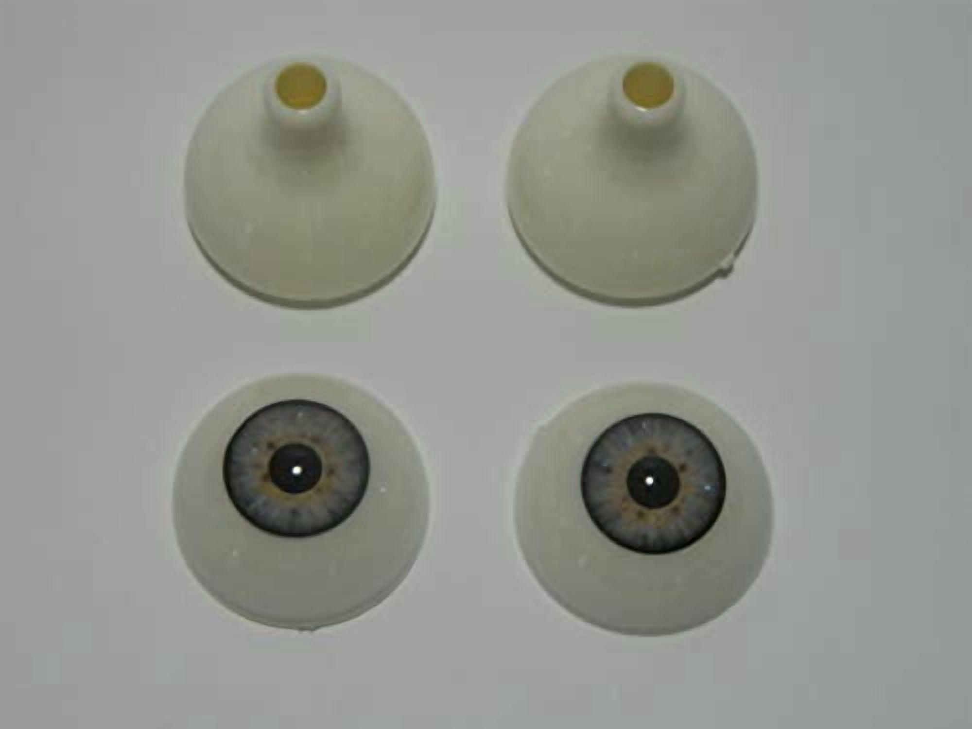 Dead Head Props Pair of Premium Realistic Life Size Acrylic Eyes for ...