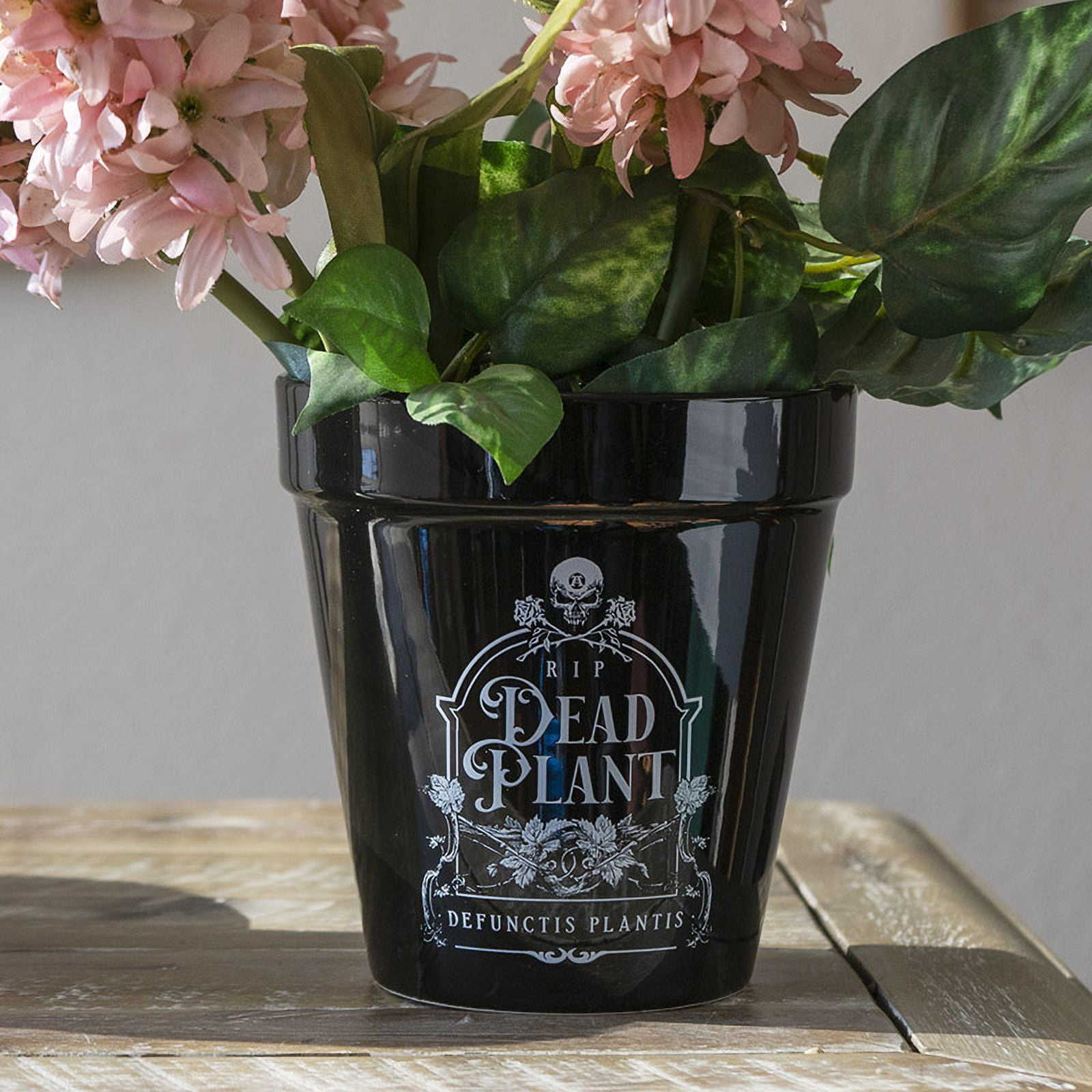 Dead Plant RIP Skull Grave Tombstone Wicca Witch Flower Herbs Planter ...