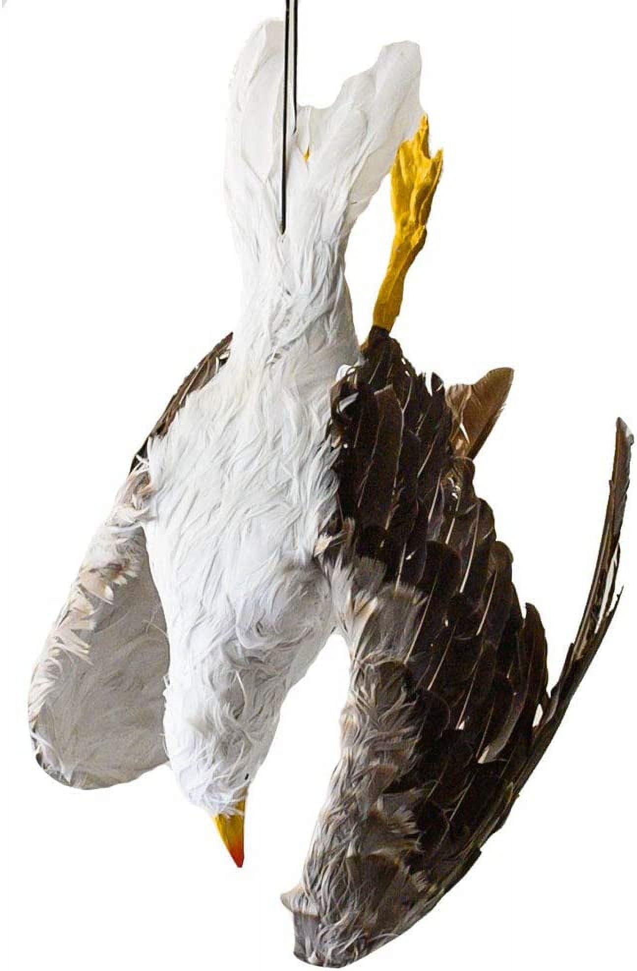 Dead Seagull Bird Deterrent Scares Away Gulls - Bird Decoy for Boats ...