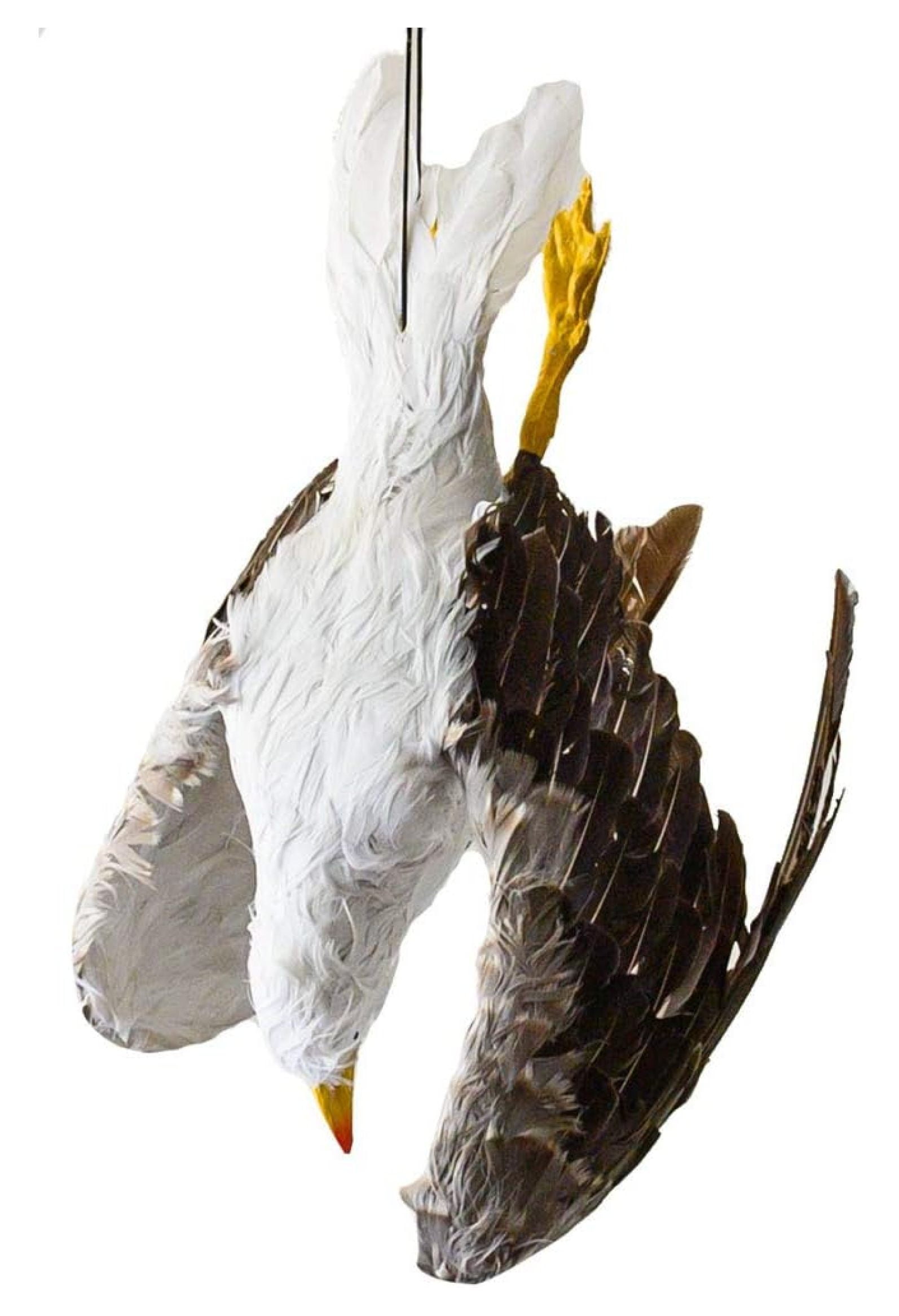 Dead Seagull Deterrent Scares Away Gulls - Decoy for Boats, & Docks ...