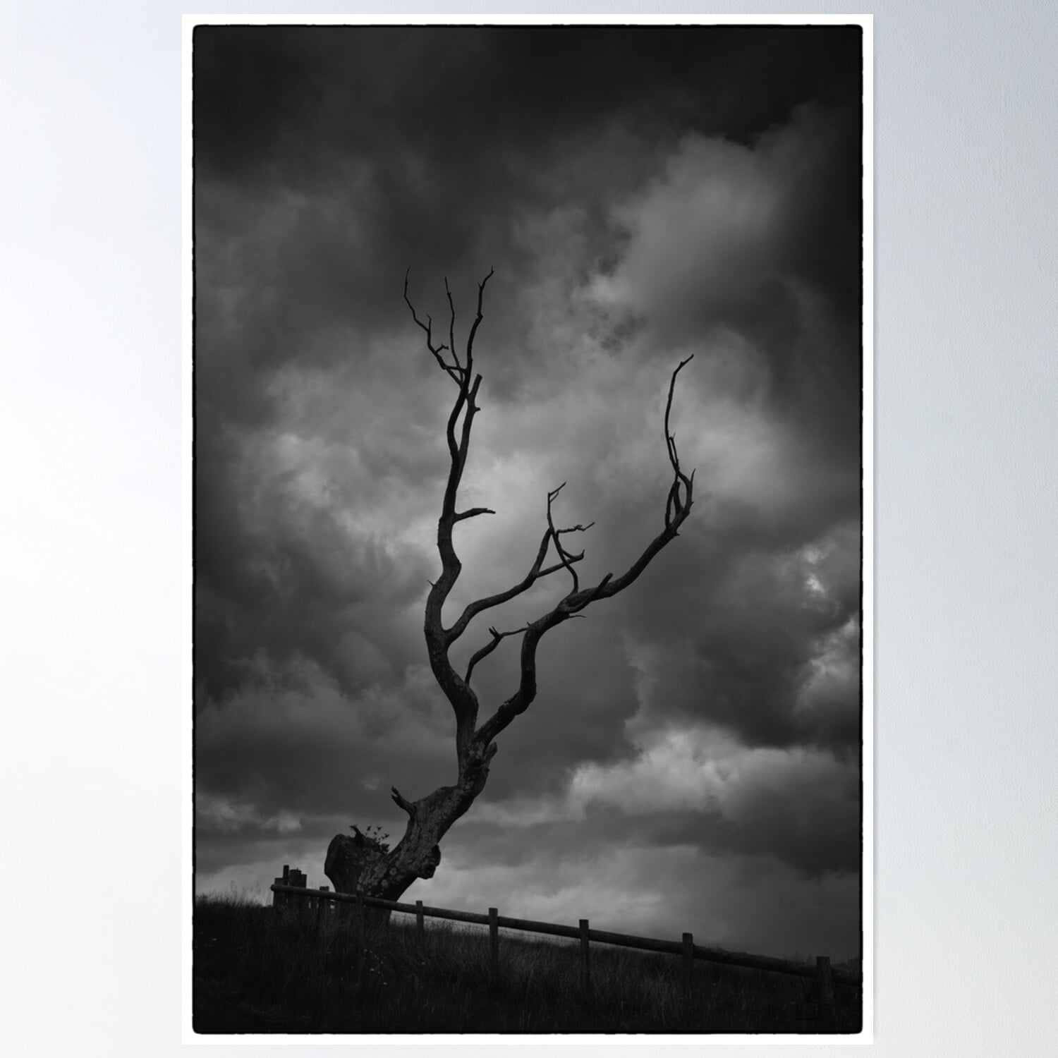 Dead Tree, Dark Skies Poster Wall Art, Modern Wall Decor, 8x12 UNFRAMED ...