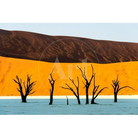 Dead trees in a desert, Dead Vlei, Sossusvlei, Namib Desert ...