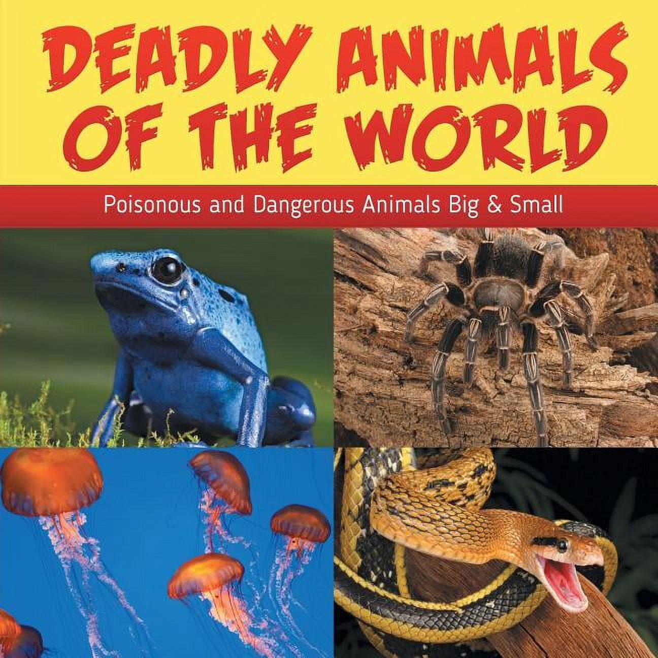 Deadly Animals Of The World: Poisonous and Dangerous Animals Big ...