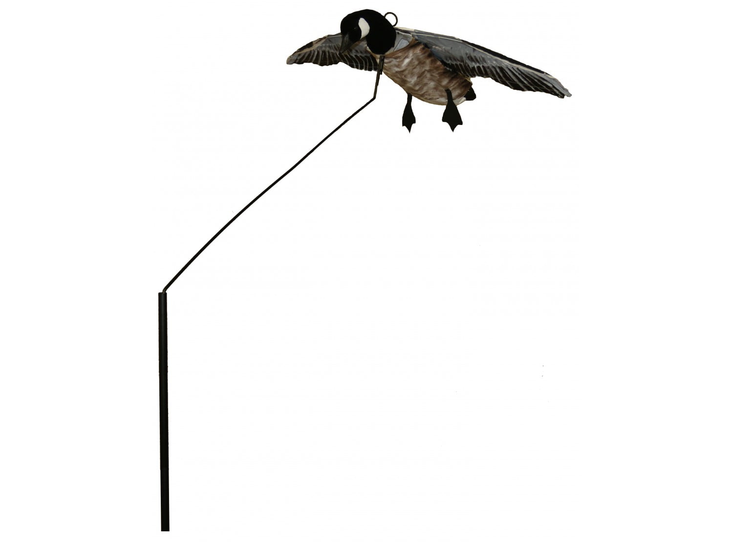 Deadly Decoys FLY-CAN-1 Canada Goose Easy to assemble and disassemble ...