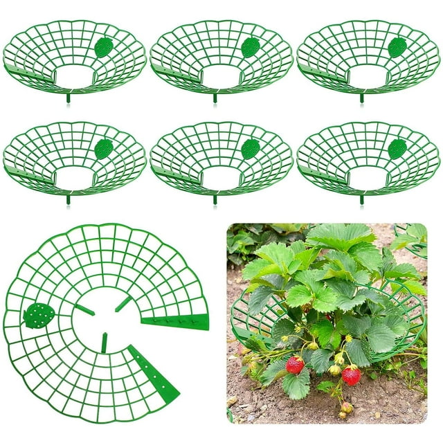 Deago 10 Pack Strawberry Supports - Strawberry Plant Support Stand ...