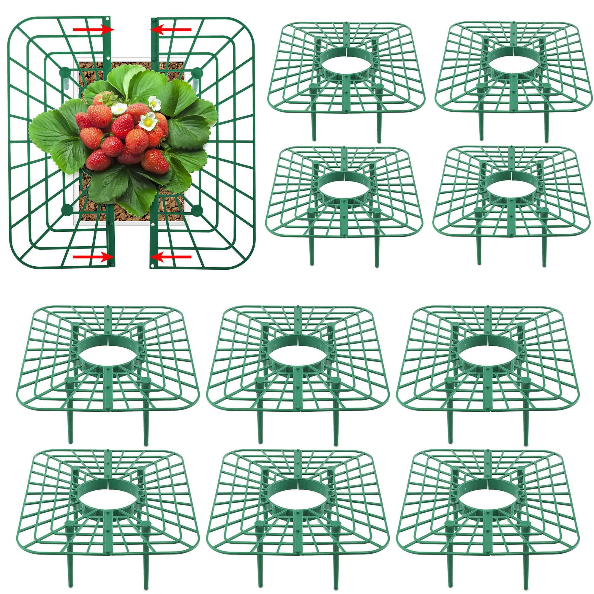 Deago 10 Pack Strawberry Supports for Garden Strawberry Plant Support ...