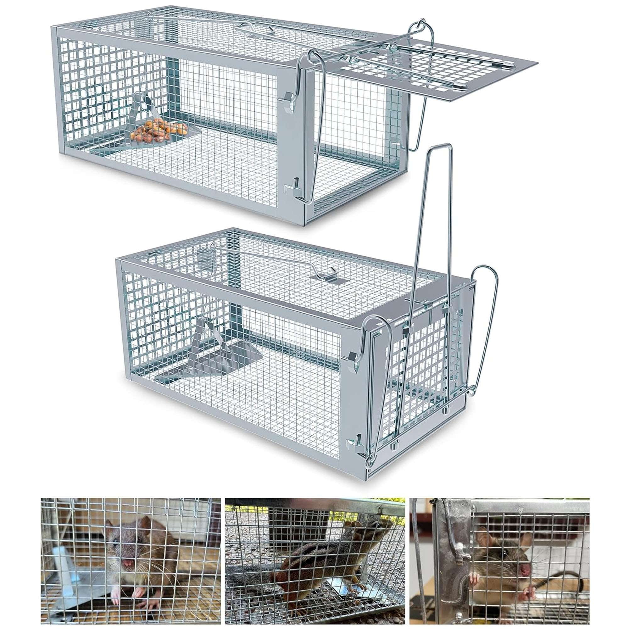 Deago 2 Pack Humane Rat Trap Mouse Traps Cage for Indoor or Outdoor ...
