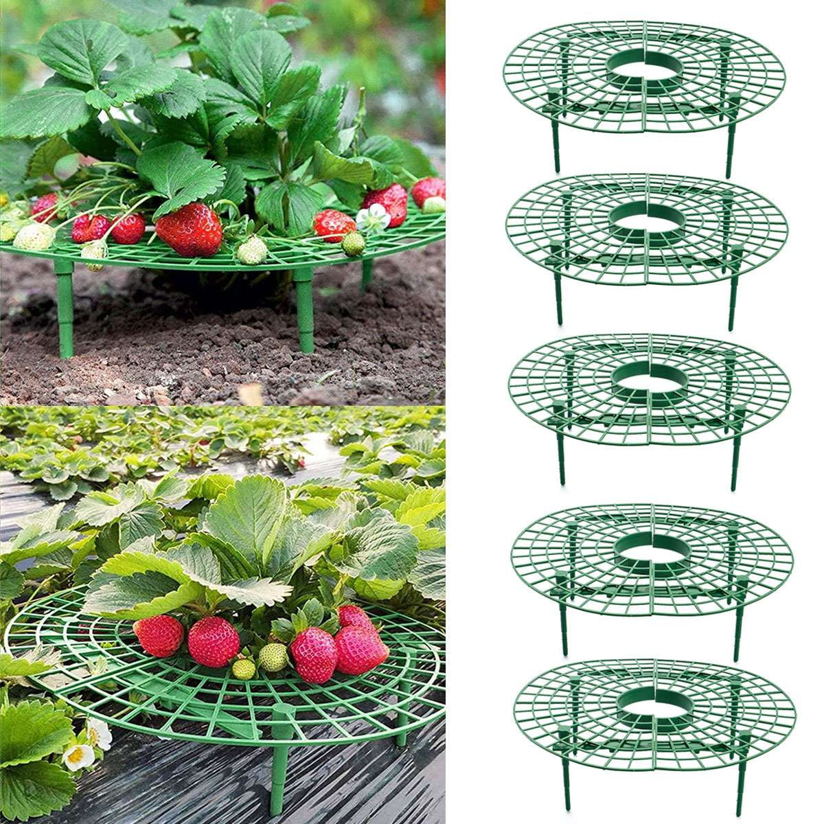 Deago 5 Pack Strawberry Supports for Garden Strawberry Plant Support ...