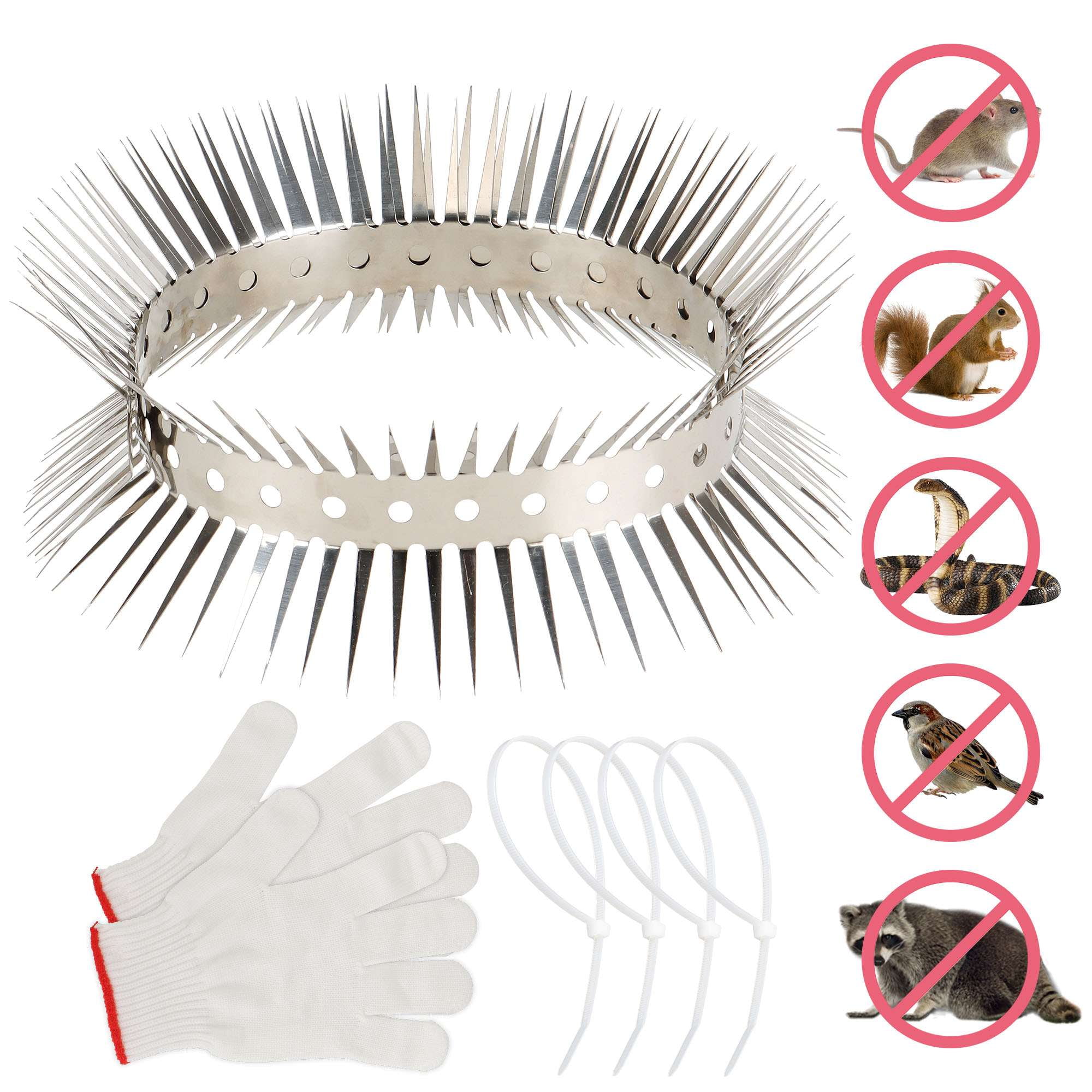 Deago Bird Spikes Stainless Steel Fence Spikes for Pigeons Raccoon ...