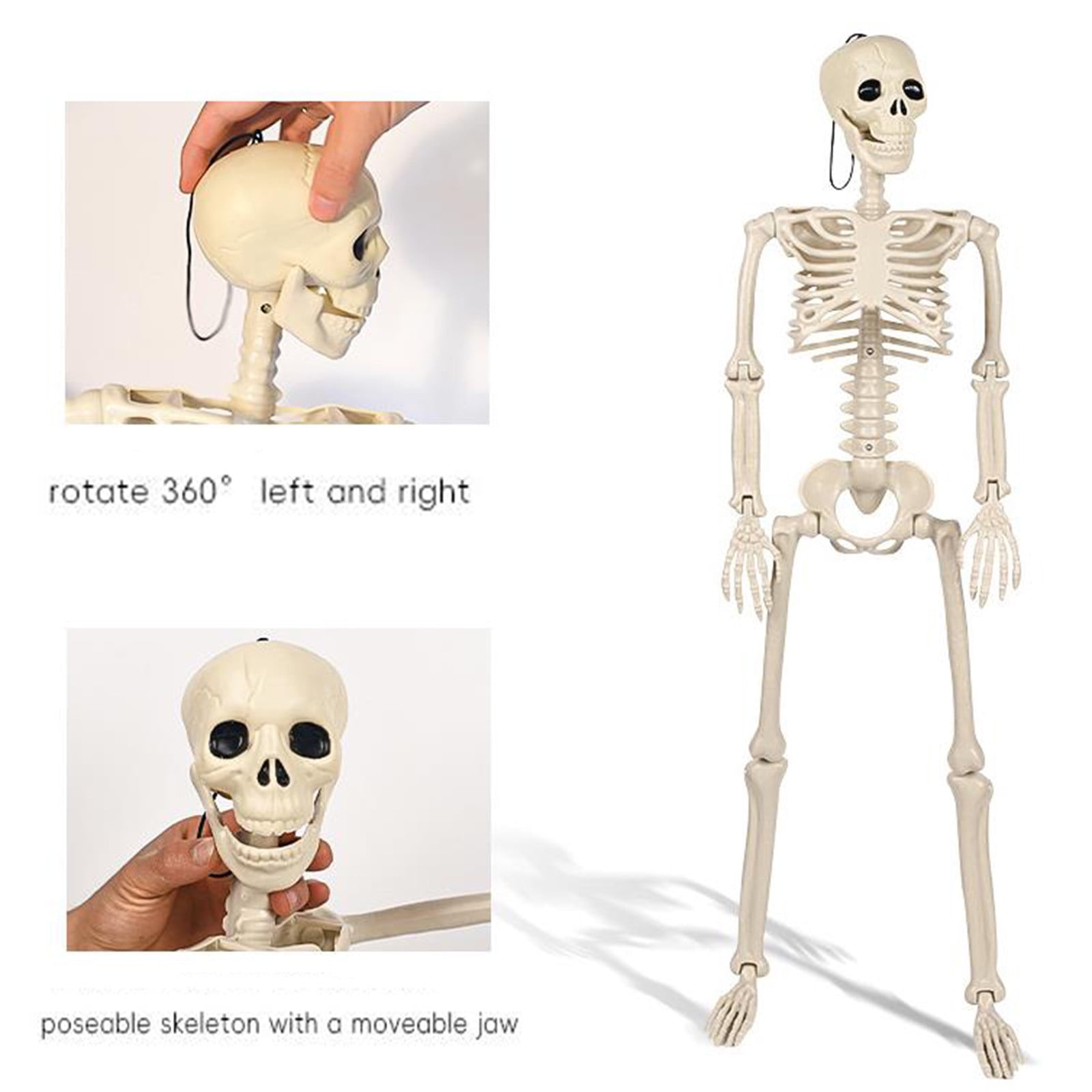 Deals Clearance Halloween Skeleton Decorations 5.4FT Life Size, Posable ...