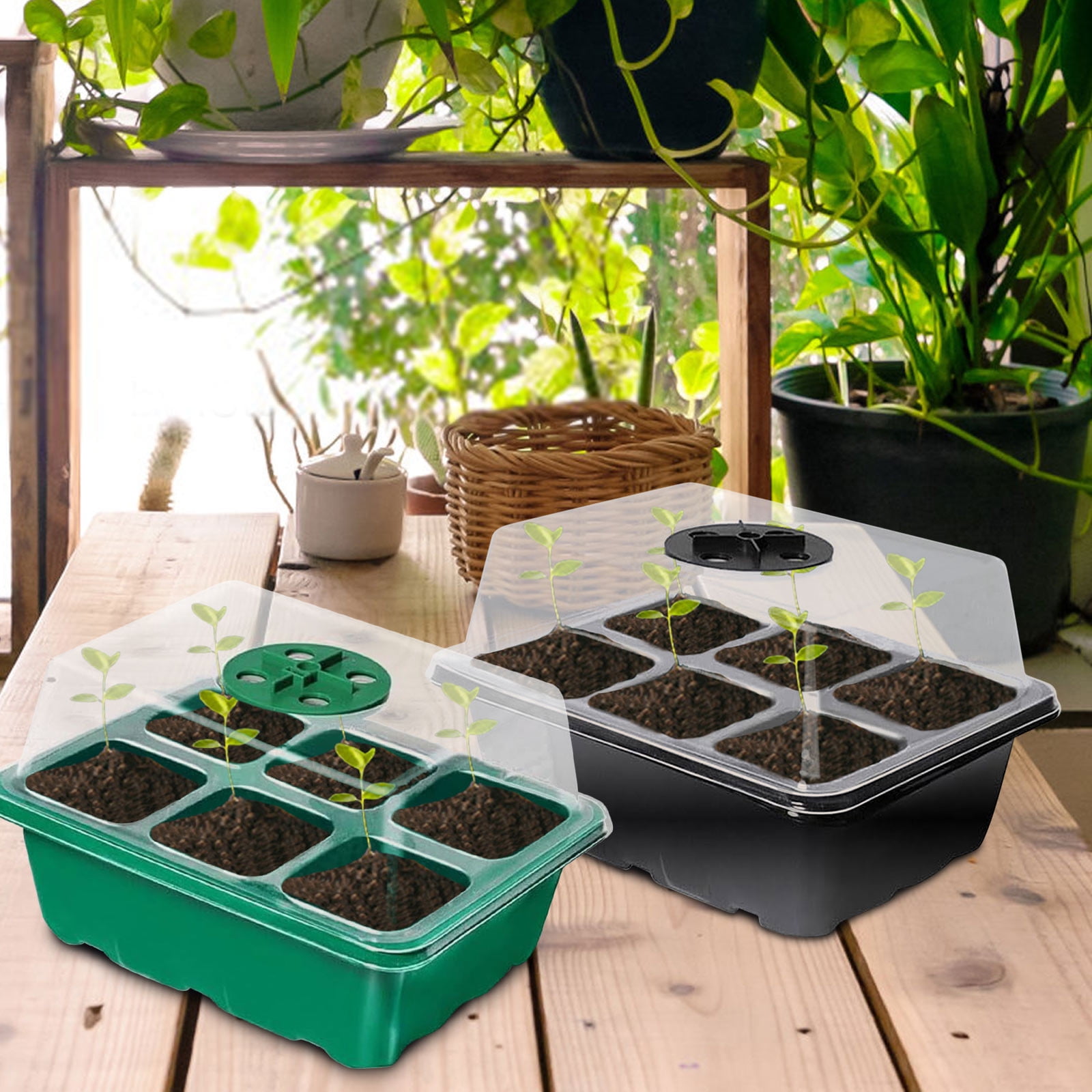 Deals of The Day Clearance! 6-Hole Tray with Light Extractor, Nutrient Box for Hydroponics and ...