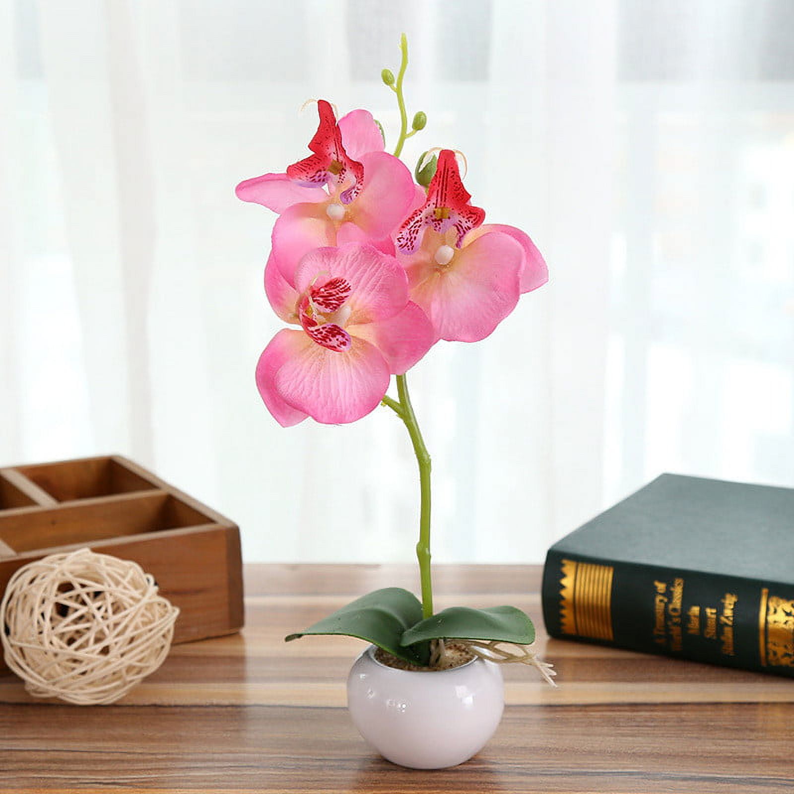 Deals of the Day Clearance！ Lloopyting 1X Simulated Bonsai Simulated ...