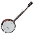 Dean Backwoods BW5 Banjo - Walmart.com
