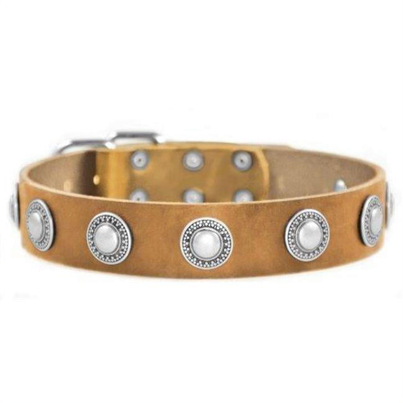 Dean & Tyler 682017009919 1.75 in. Braided Heaven Brass Double-Ply Collar, Pink - 24 in ...