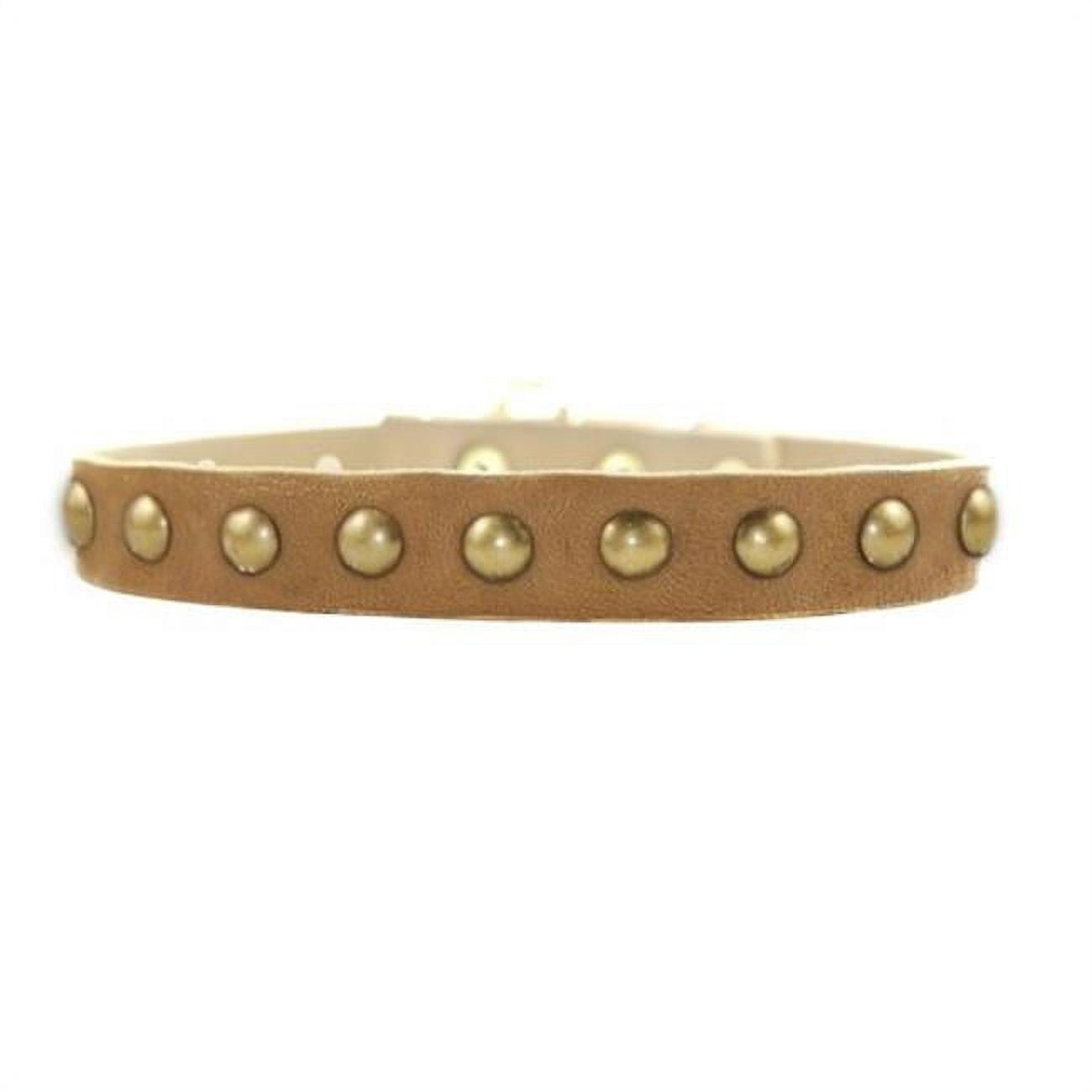 Dean & Tyler 765573974621 1 in. Dog Circle Nickel Collar, Tan - 30 in ...